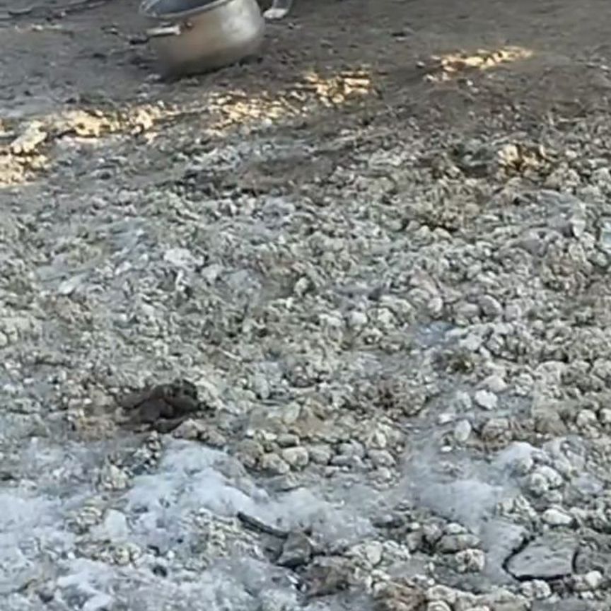 Отдам бесплатно щенки