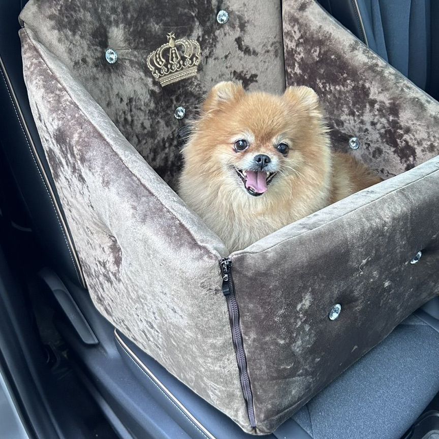 Автокресло для собак