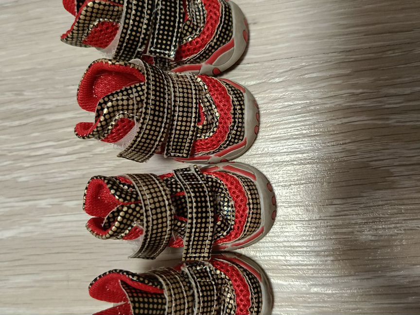Кроссовки на собаку