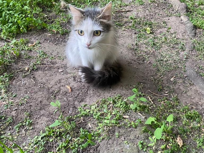 Ласковая девочка