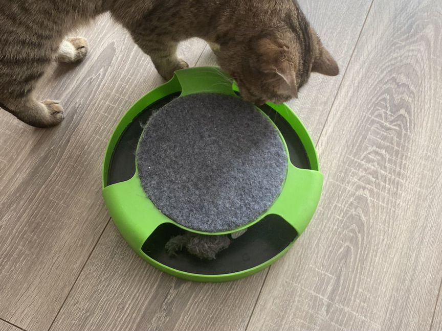 Интерактивная игрушка для кошек "Поймай мышку"