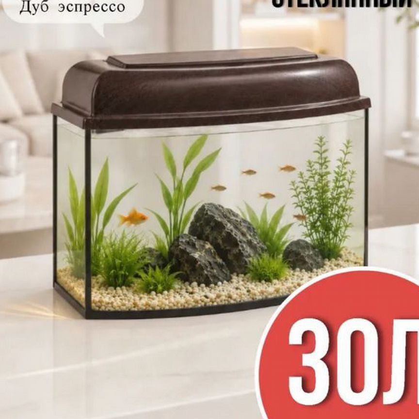 Аквариум