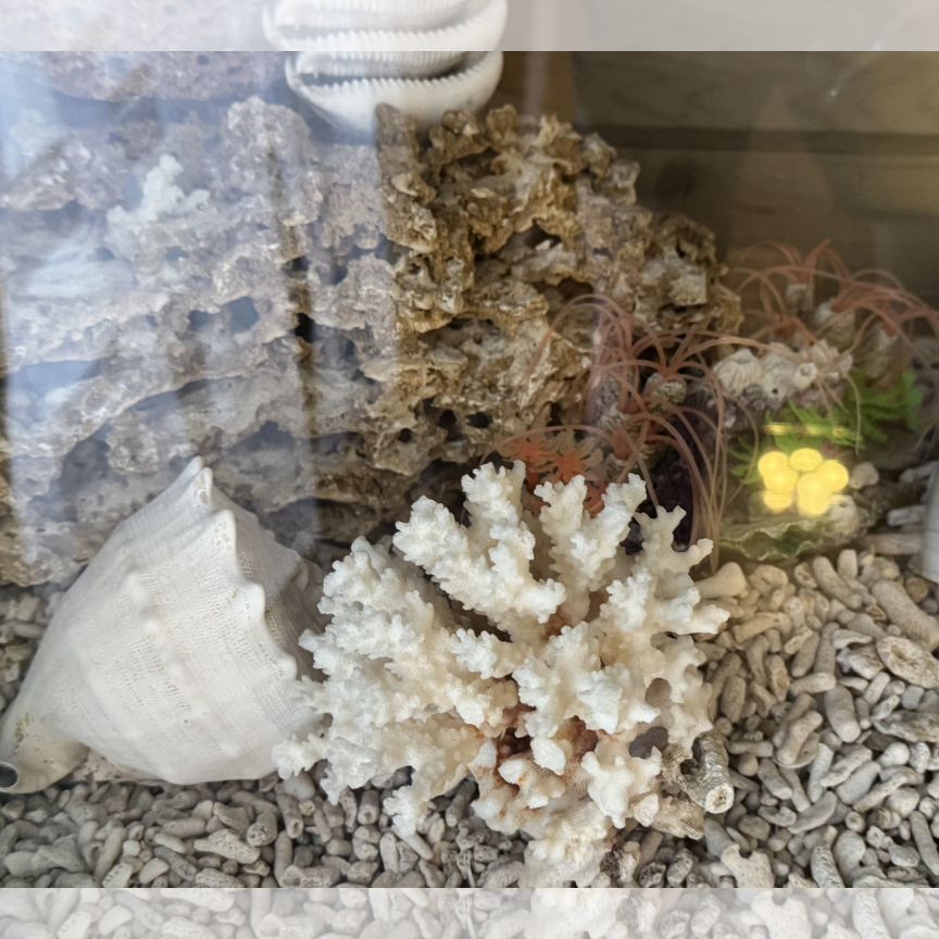 Аквариум с тумбой