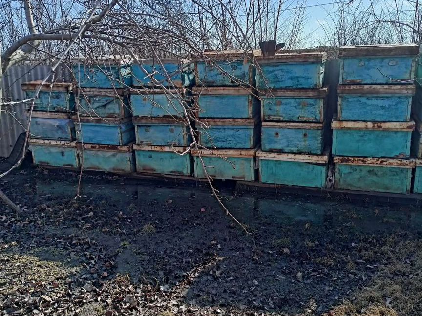 Ульи для пчел бу