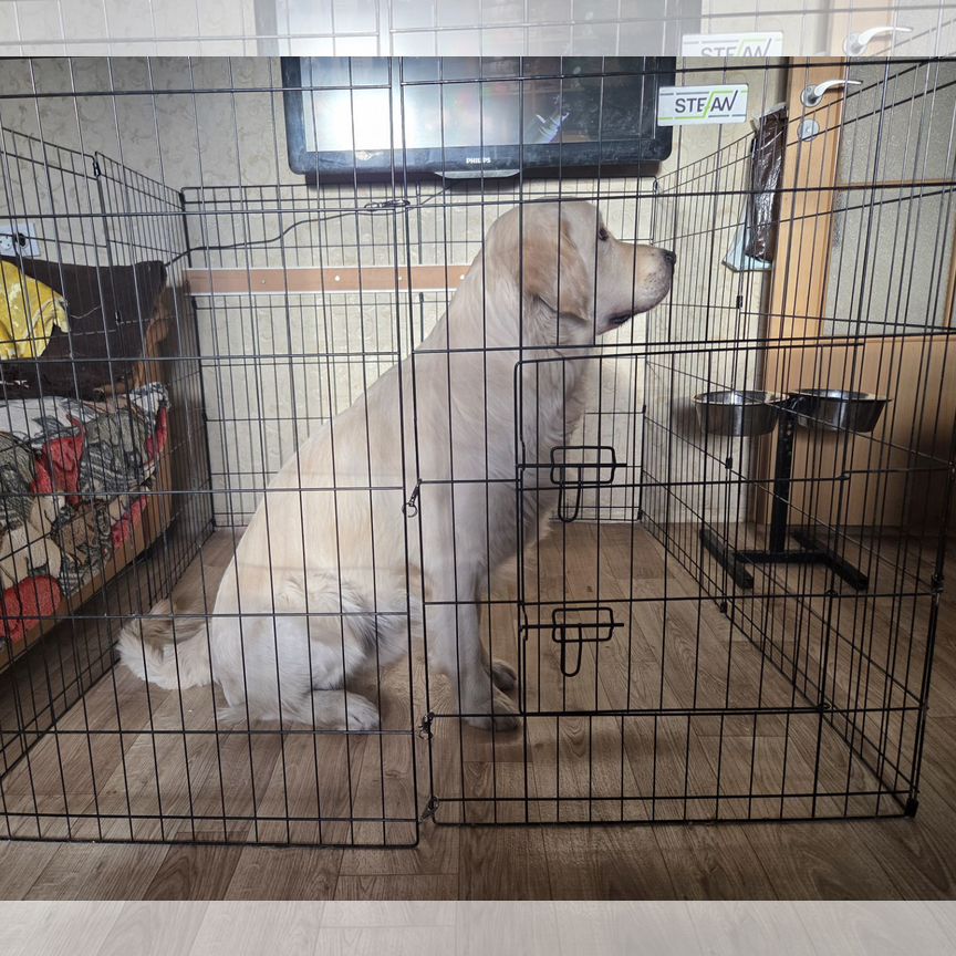 Вольер для собак в квартиру