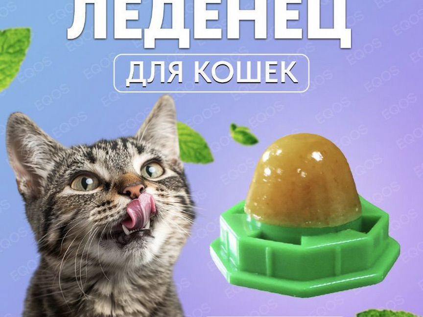 Леженец для кошек