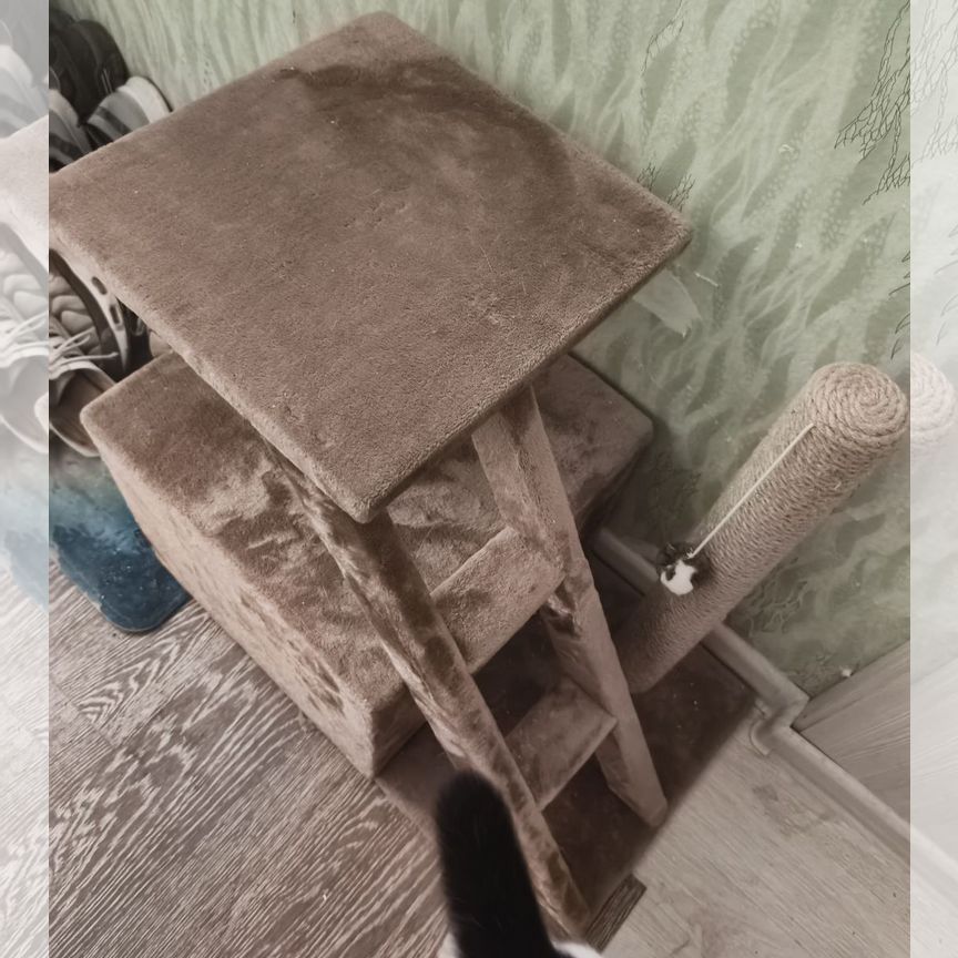 Домик для котят