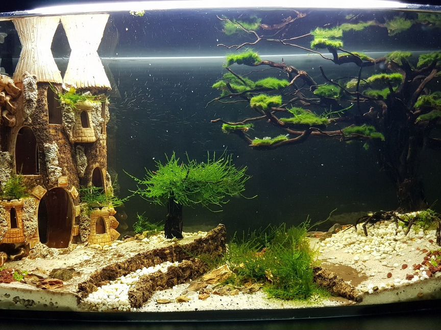 Аквариум 100 литров