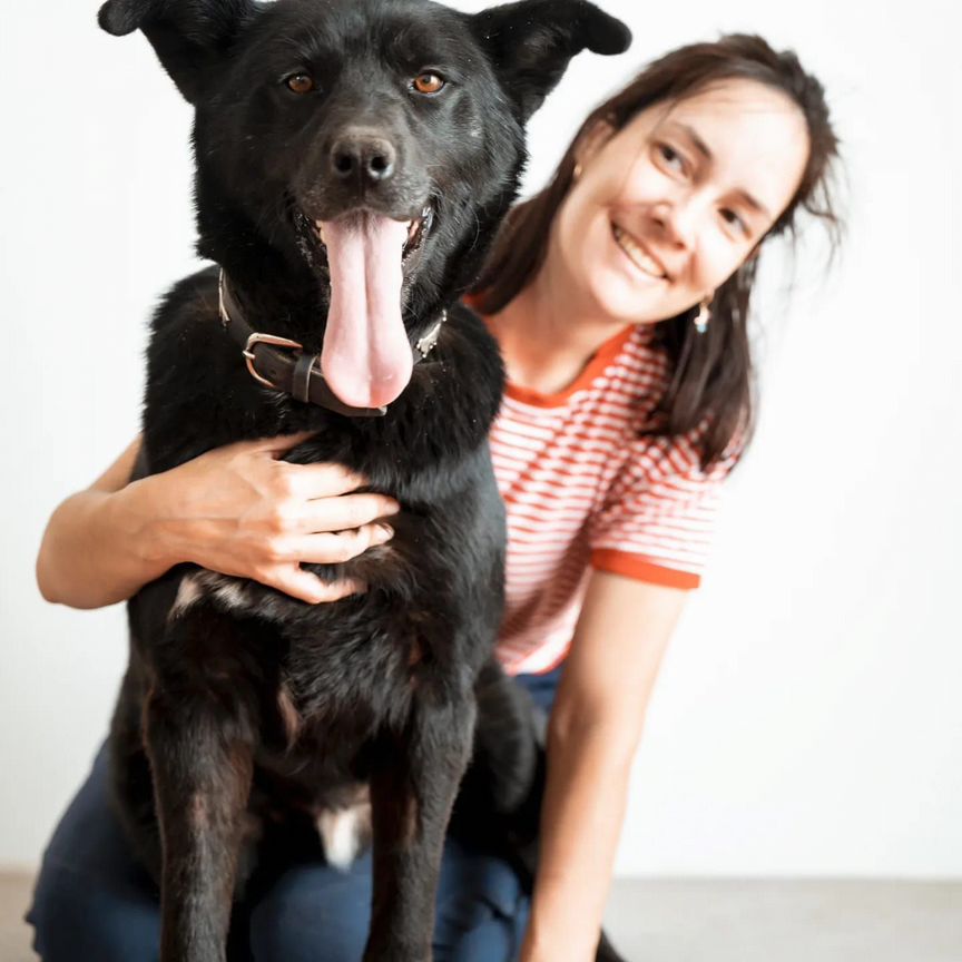 Добрый Мишаня ищет дом