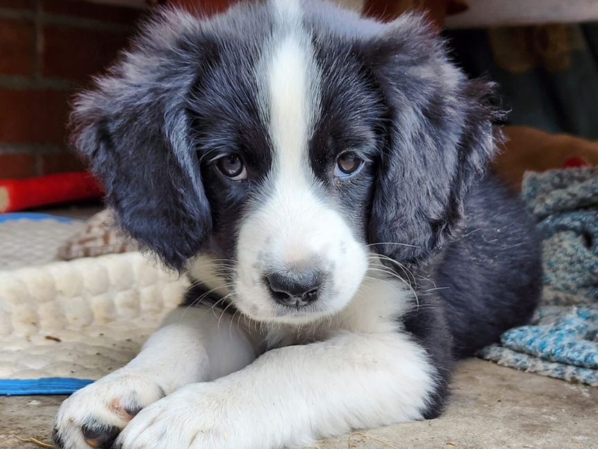 Красавица ждет своего человека