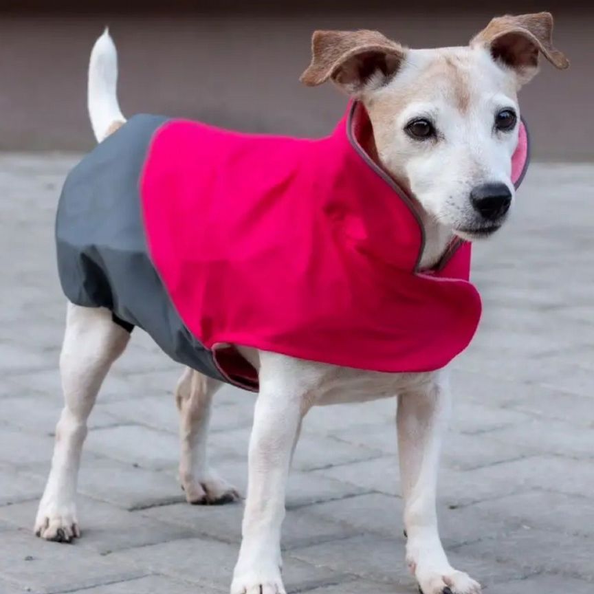 Жилет на флисе для собаки