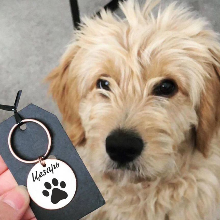 Адресник для питомца в форме круга