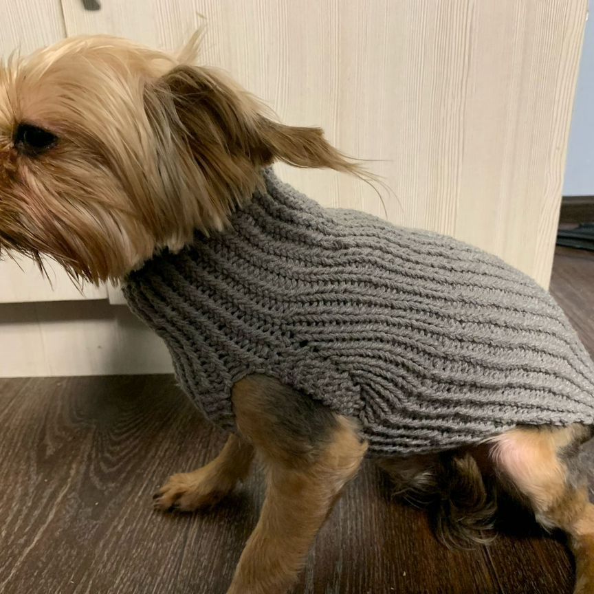 Жилетка для собак мелких пород