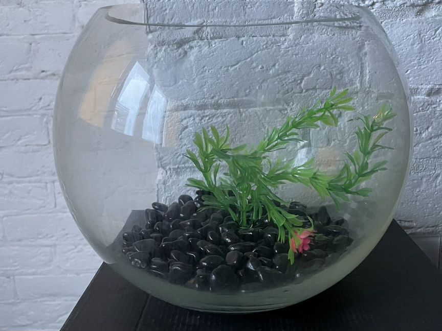 Аквариум для рыбки 4.5 литра с украшениями