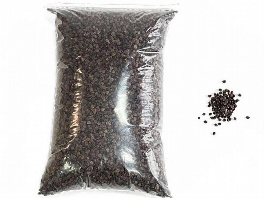 Натуральный грунт из гречихи для змей, 3л