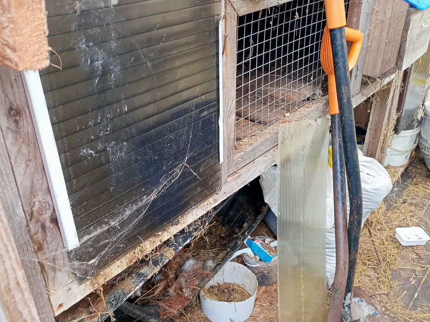 Клетки для кроликов