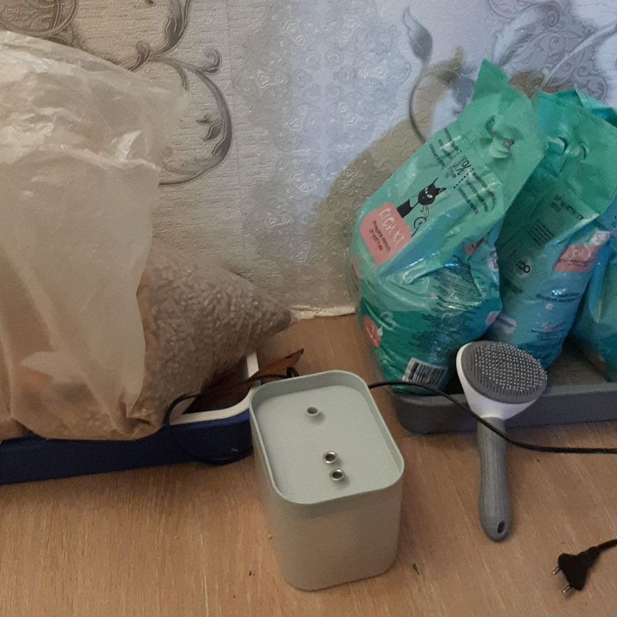 Принадлежности для кошек