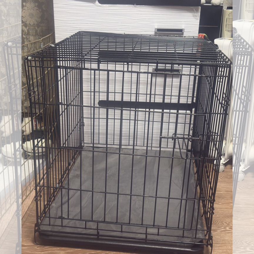 Клетка лео номер 3