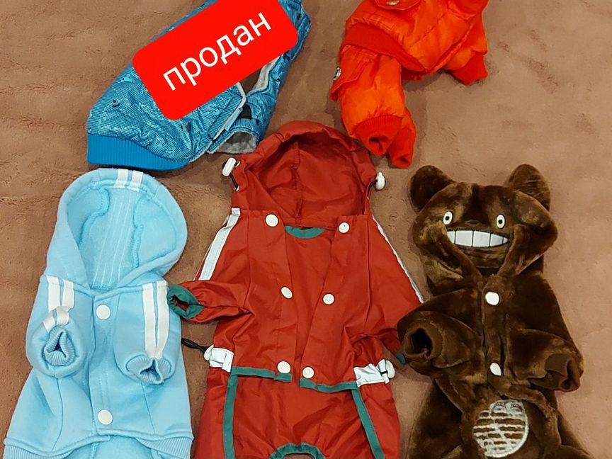 Одежда для маленьких собак xs s m