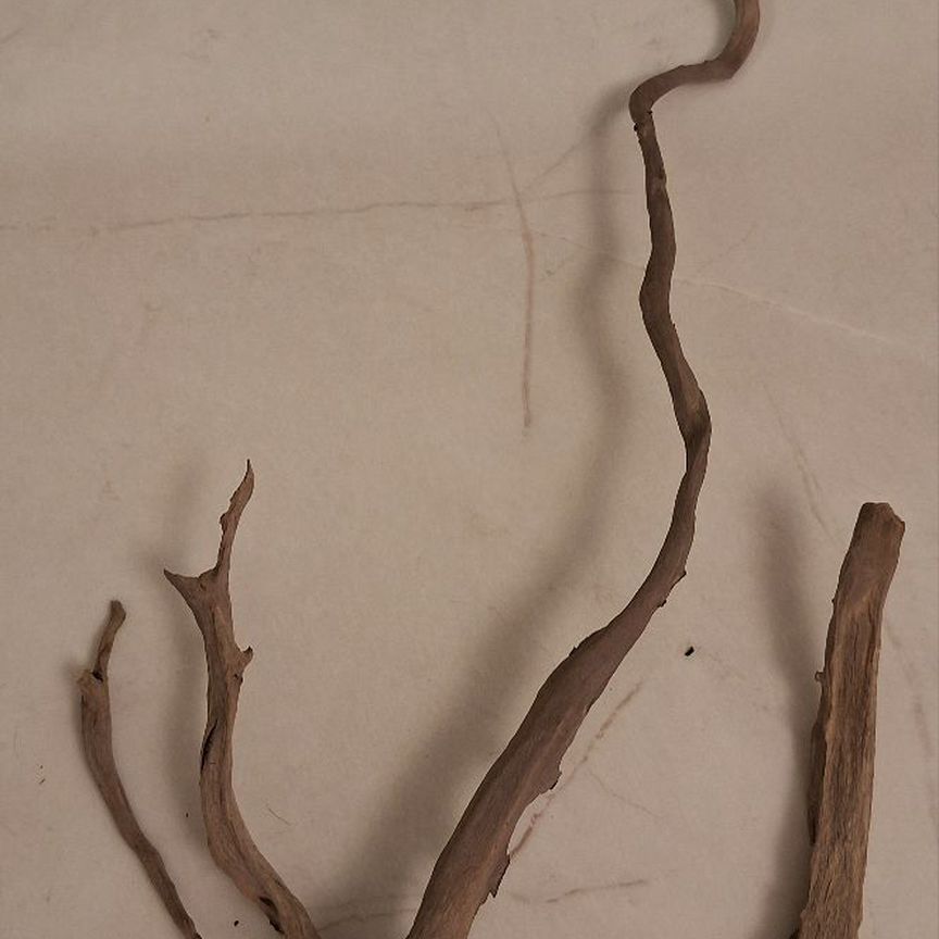 Коряги для аквариума