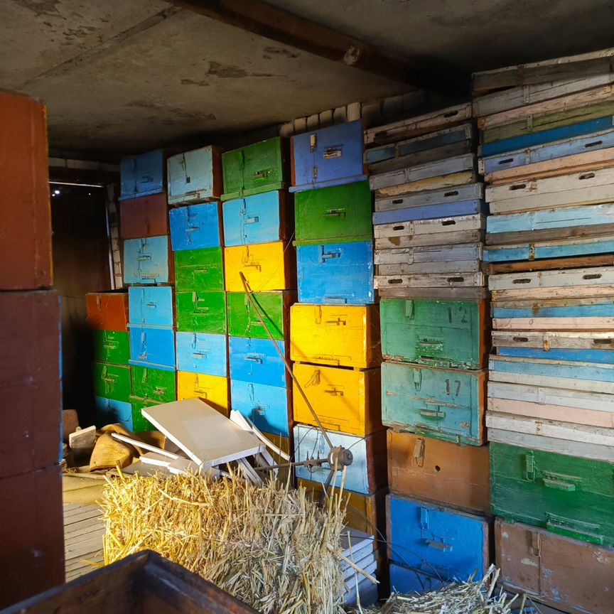 Ульи для пчел бу с корпусами (Рутовсие)