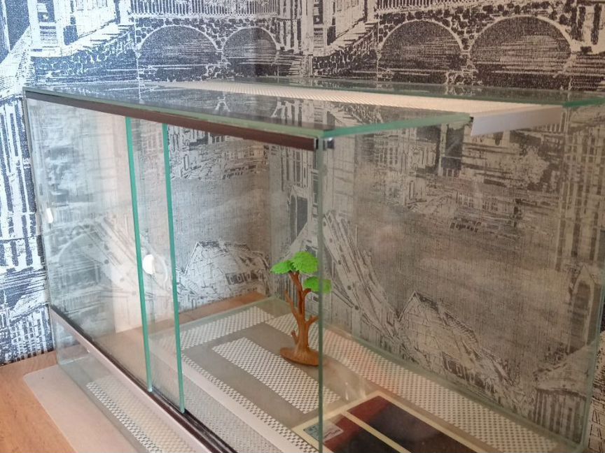 Террариум стеклянный с термо ковриком