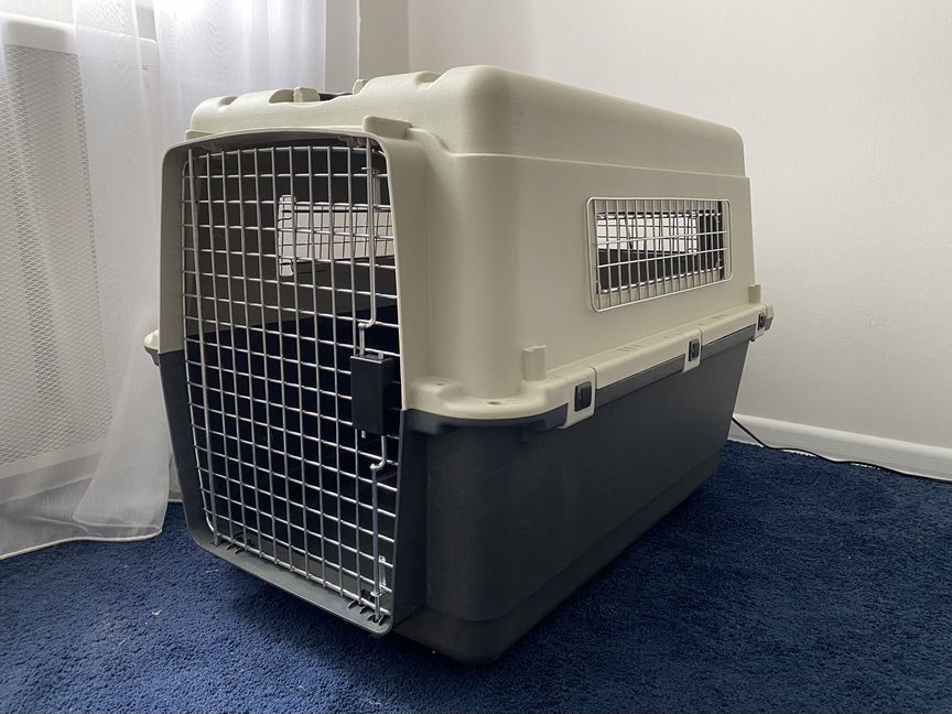 Бокс для собак большой