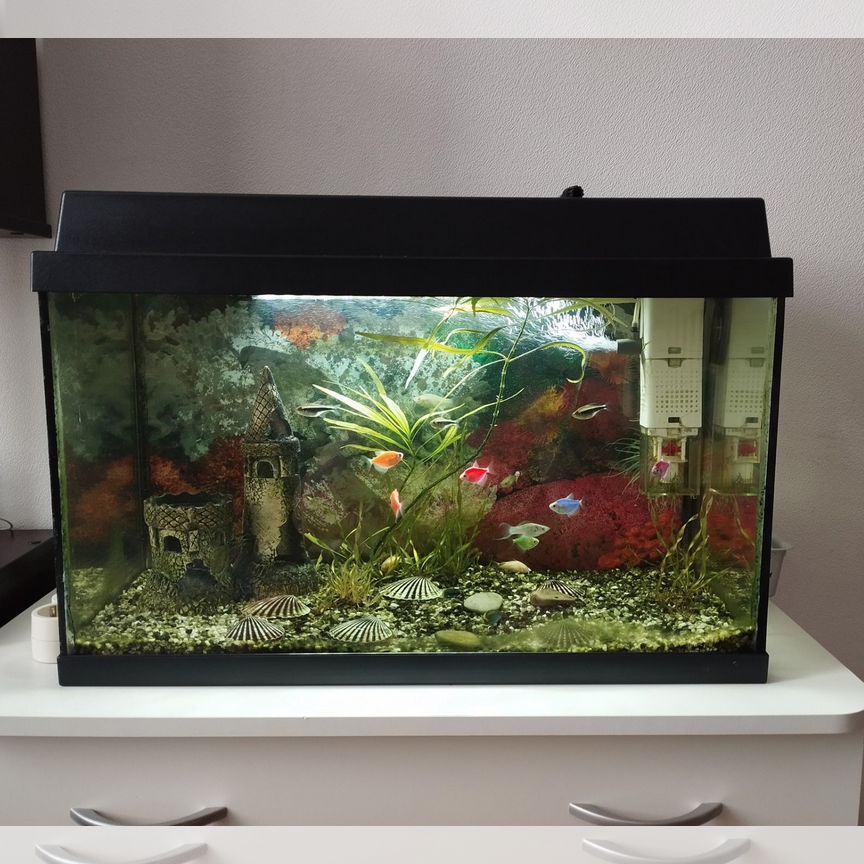 Аквариум бу с рыбками