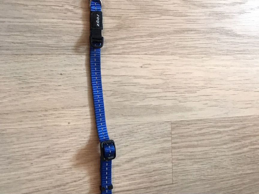 Ошейник Rogz Utility Classic Collar S 20-31 мм
