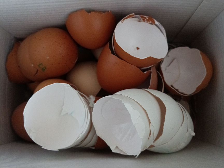 Яичная скорлупа 1 кг