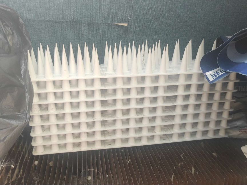 Шипы от птиц