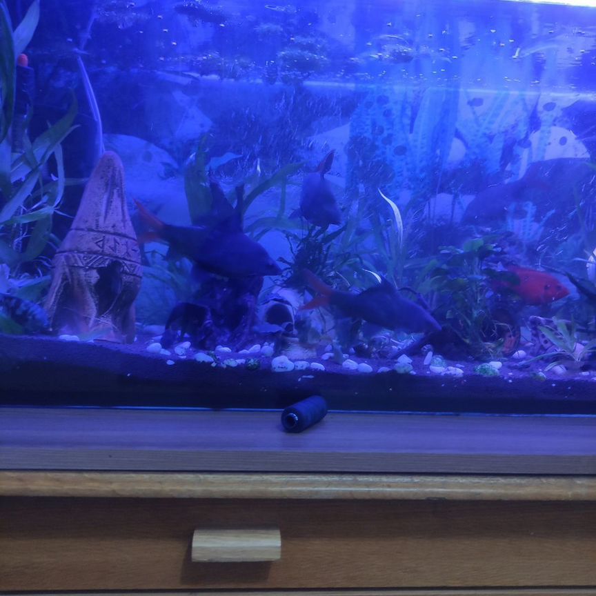 Украшения для аквариума