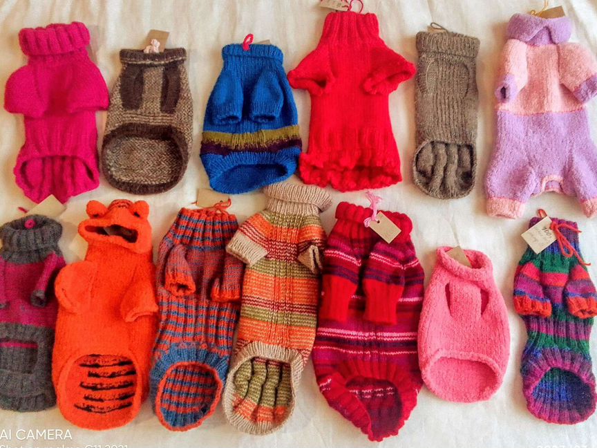 Одежда для собак