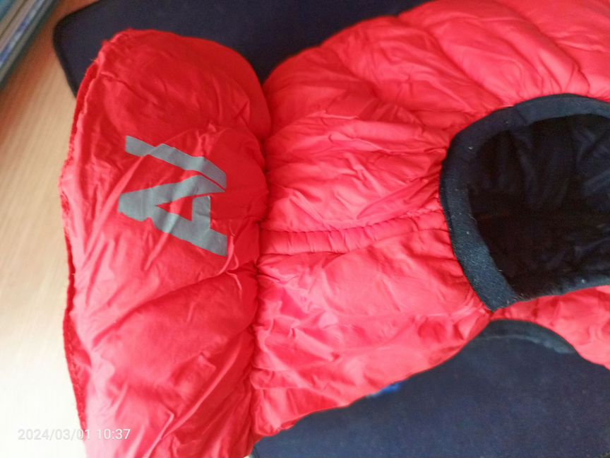 Курта утеплённая для той-терьера