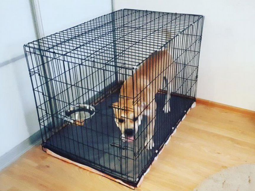 Собачья будка клетка для собак