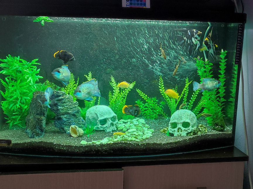 Аквариум 100 литров