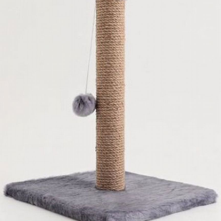 Когтеточка