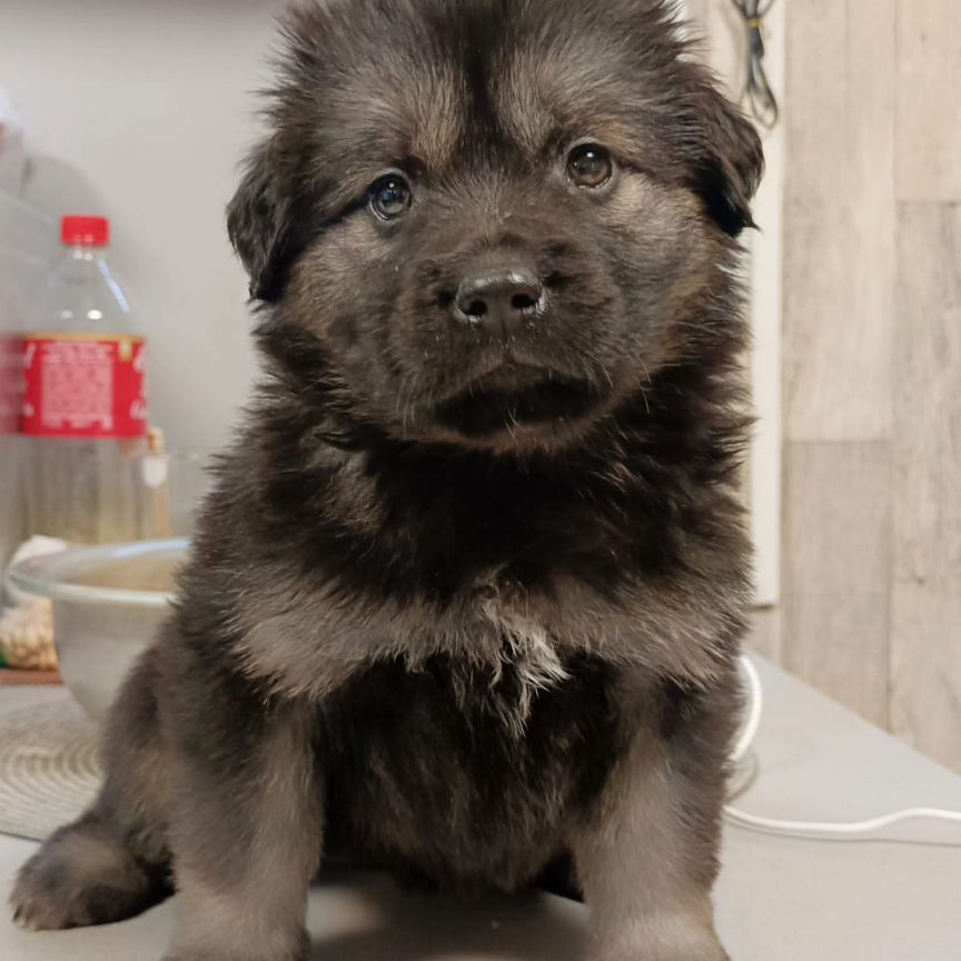 Карьер мяглово