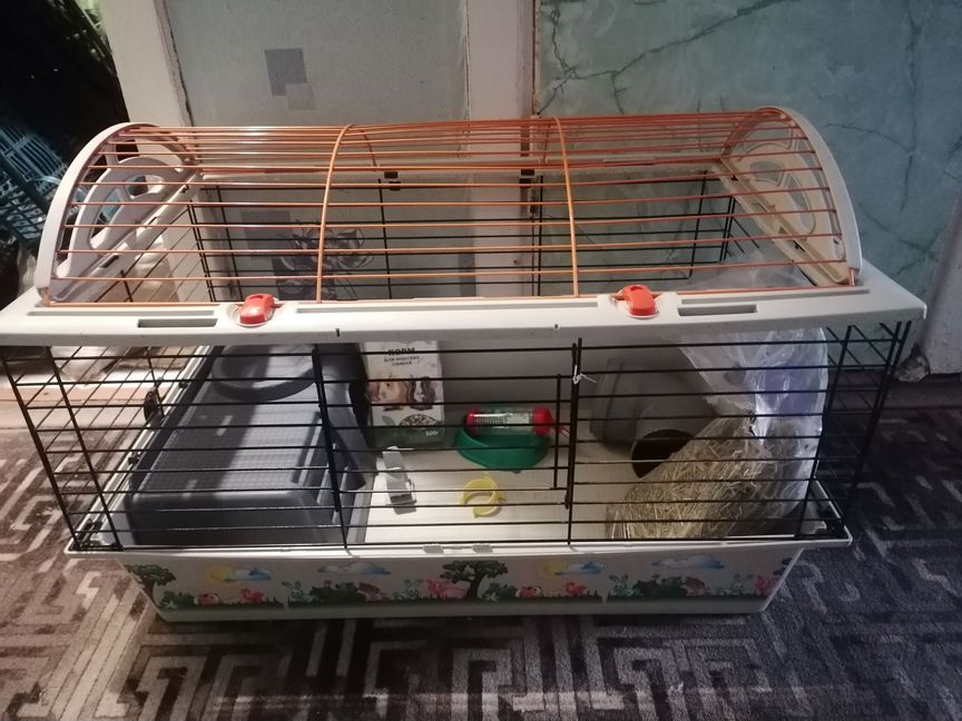 Клетка для морской свинки или кролика