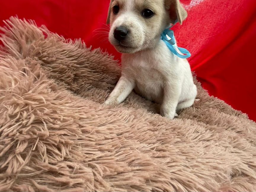 Мальчишка просто чудо