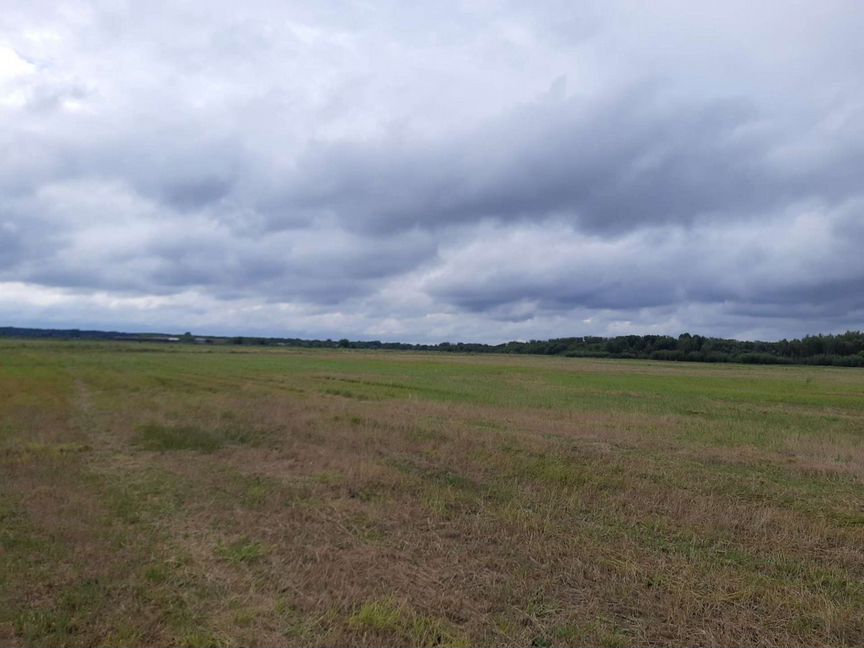 Отходы подсолнечника