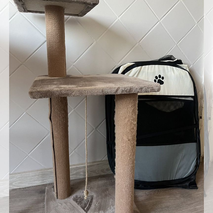 Когтеточка и вольер-манеж для котов