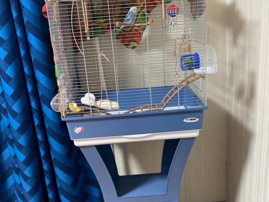 Клетка имак iMac