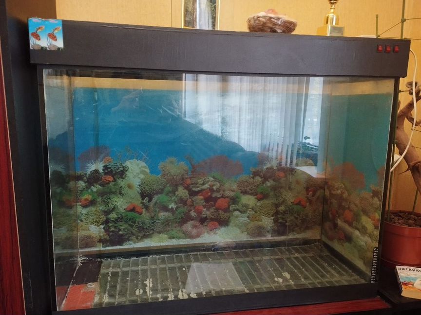 Аквариум