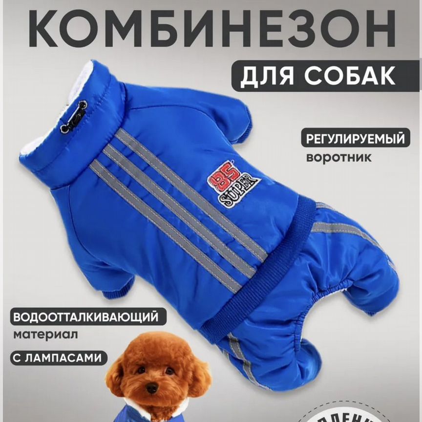 Одежда для собак