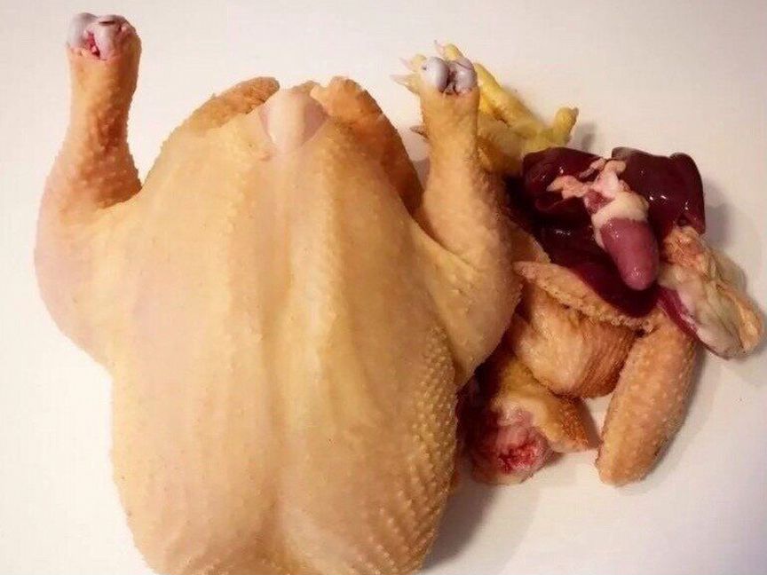 Мясо броллера мясо молодого петушка
