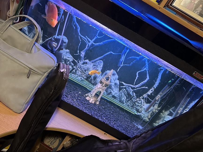 Аквариум с рыбками