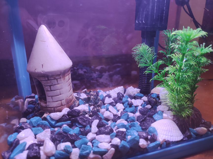 Аквариум со светильником и фильтром
