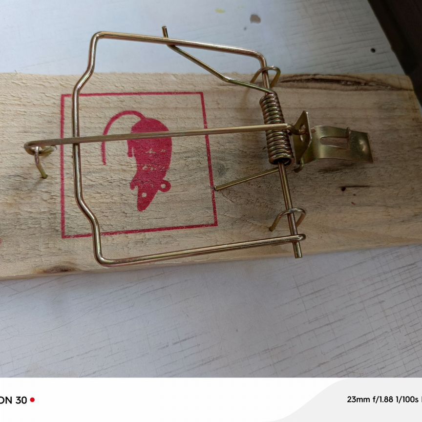 Крысоловка классическая 2 шт