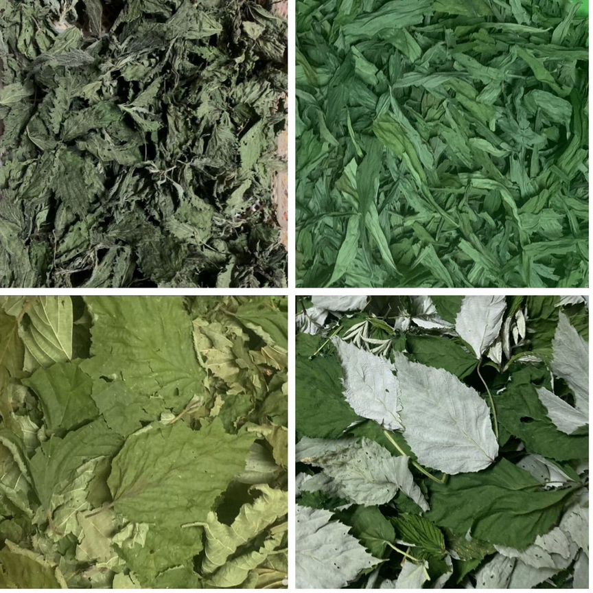 Микс для грызунов бокс травы сено